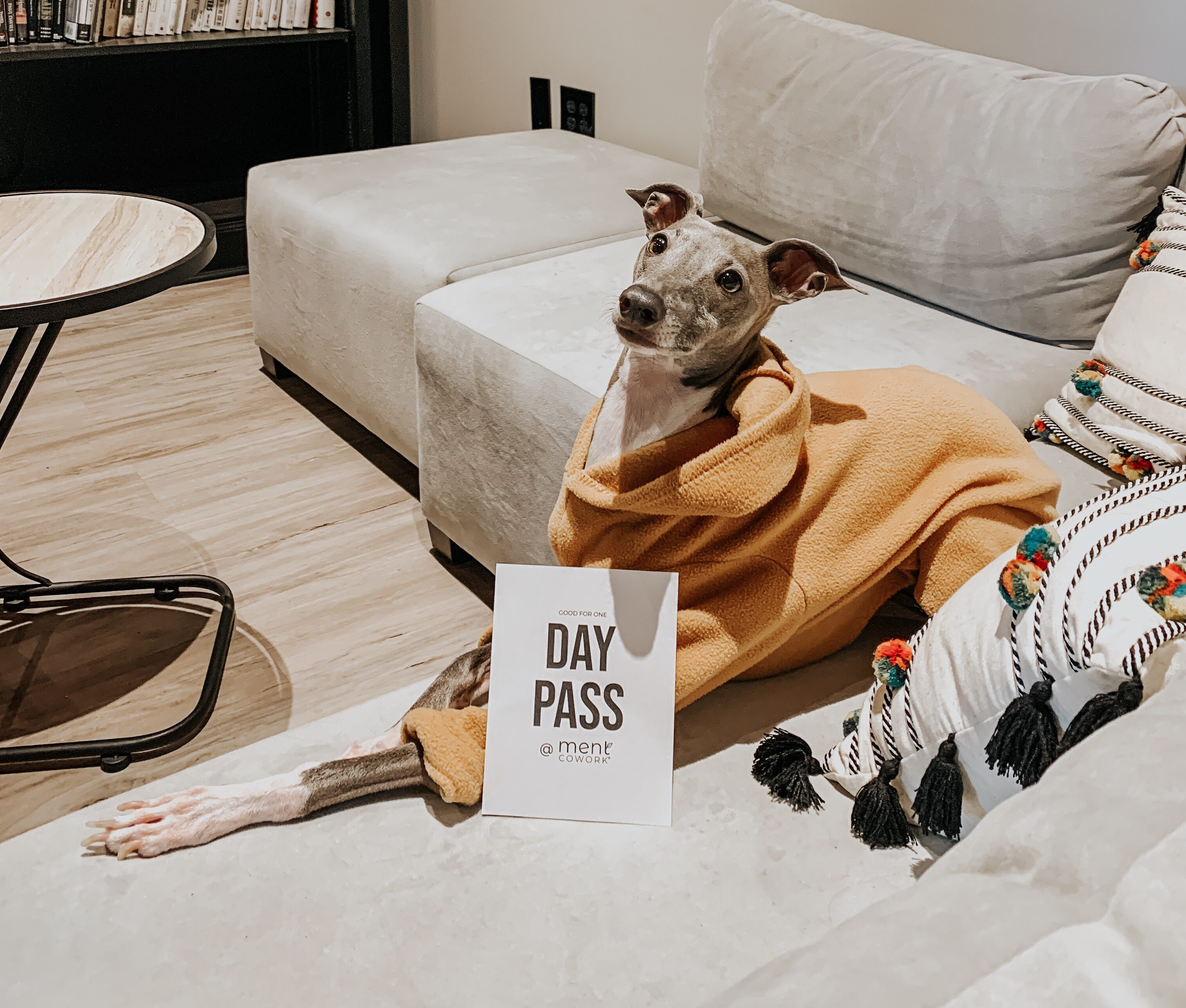All About the Benefits of a Day Pass. Try it For Yourself! - Ment Cowork